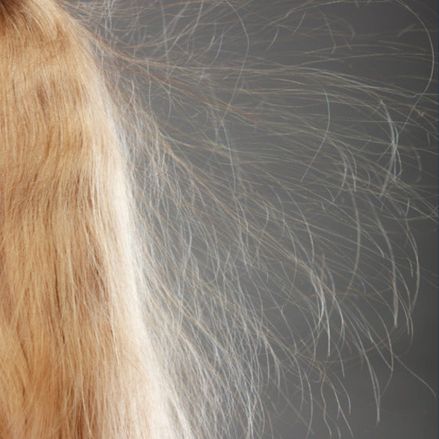 5 Pro Stylist Tips for Fighting Hair Static